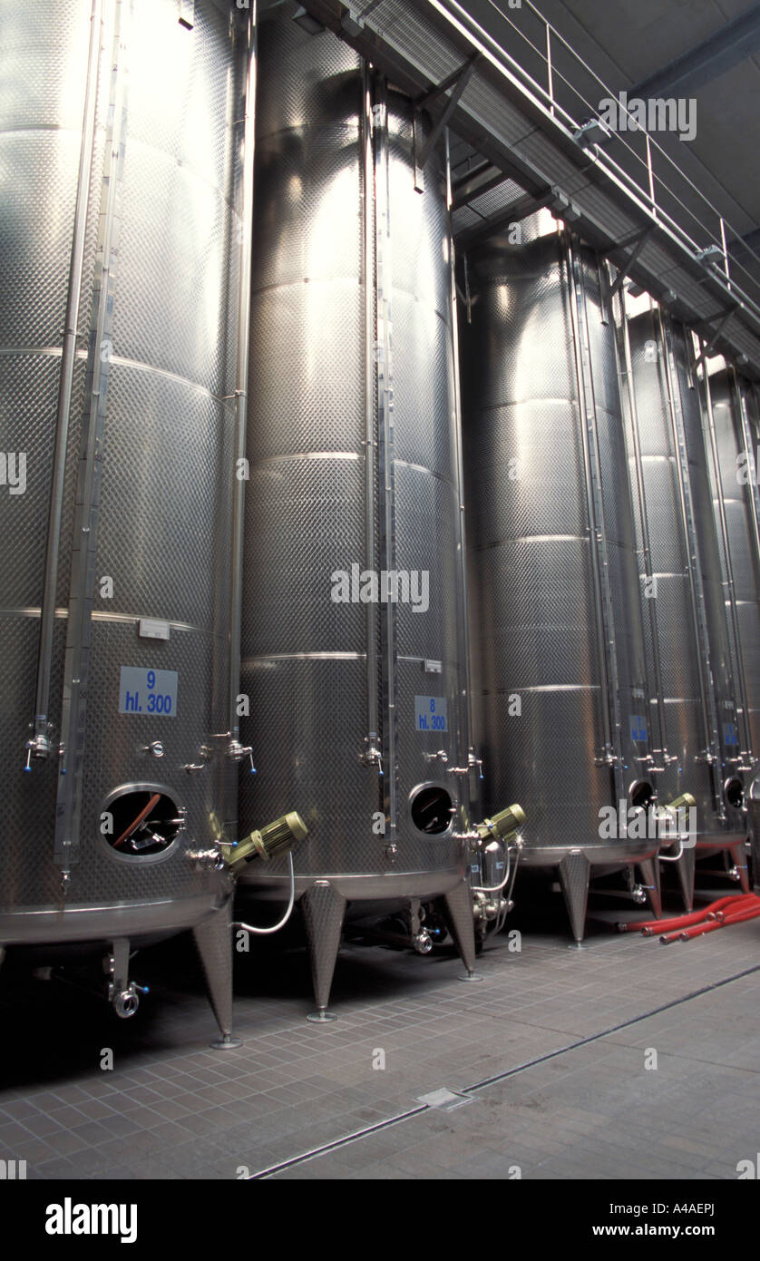 Cantina Rotari farm Mezzocorona Piana Rotaliana Trentino Alto Adige ...