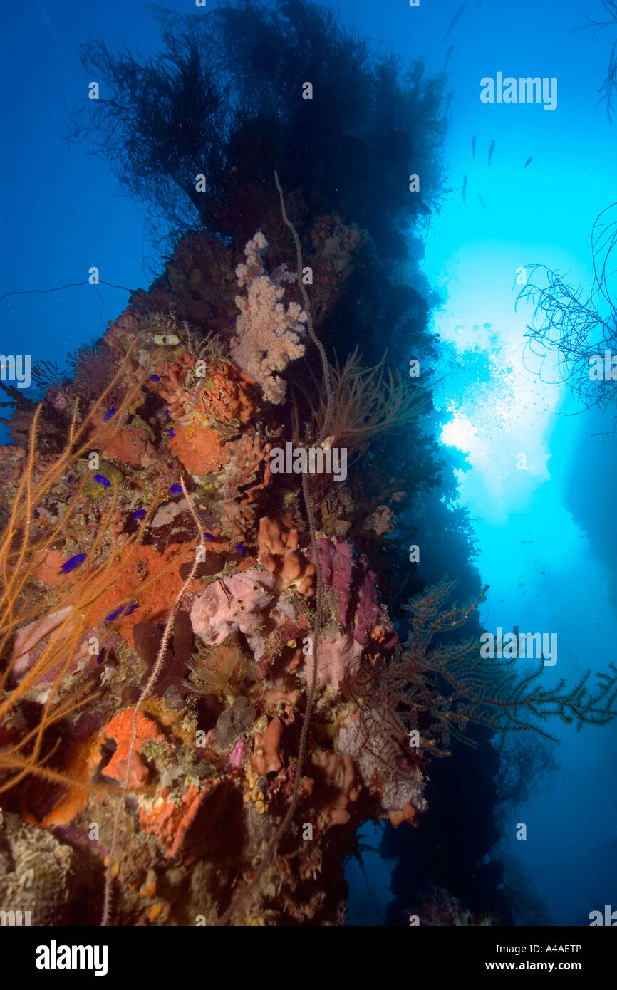 Shinkoku maru hi-res stock photography and images - Alamy