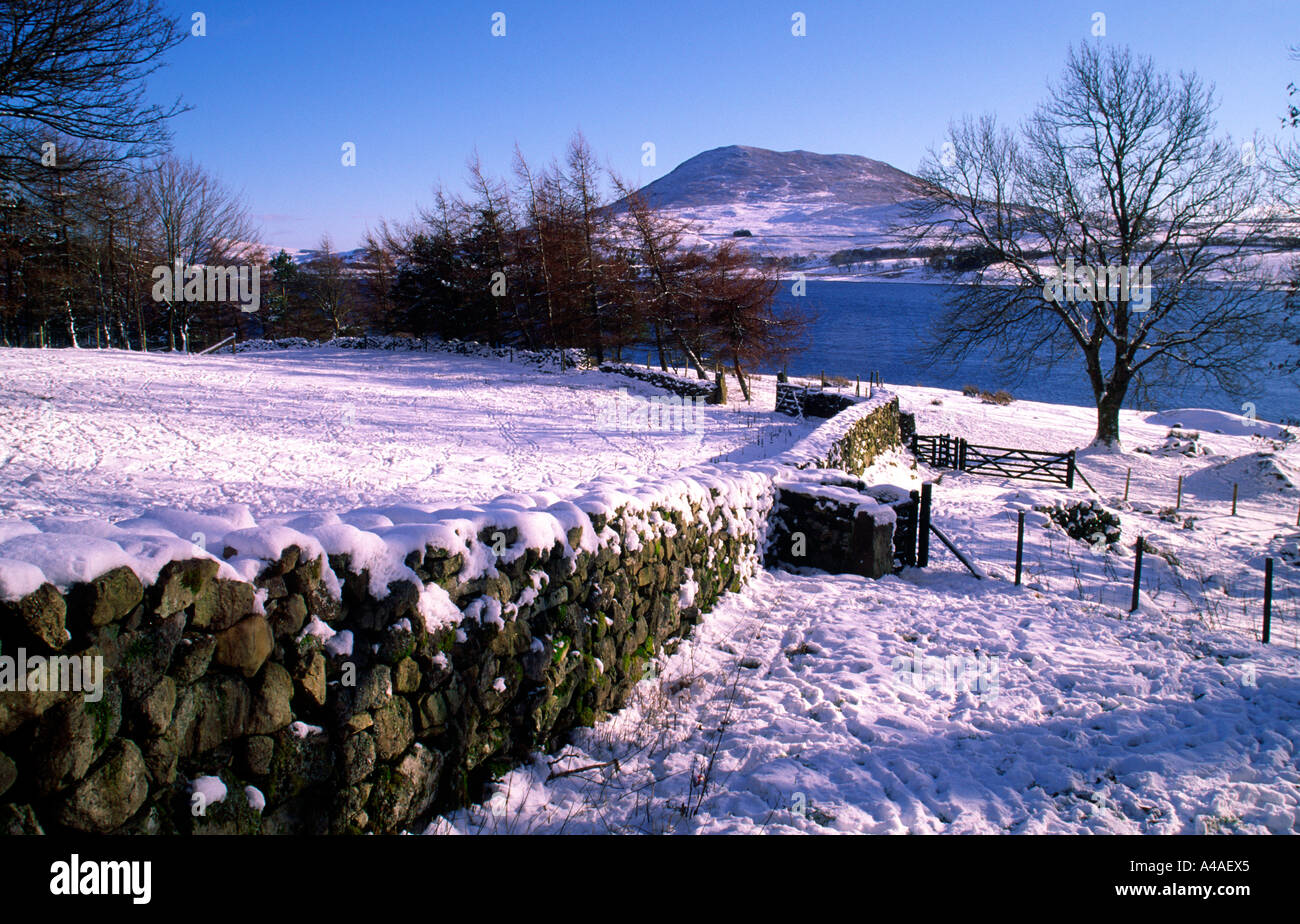Llyn celyn hi-res stock photography and images - Alamy