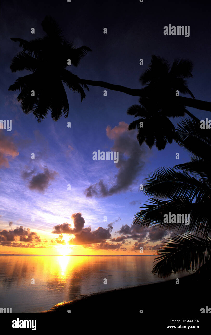 Cook Islands Aitutaki Sunset with palm trees Stock Photo - Alamy