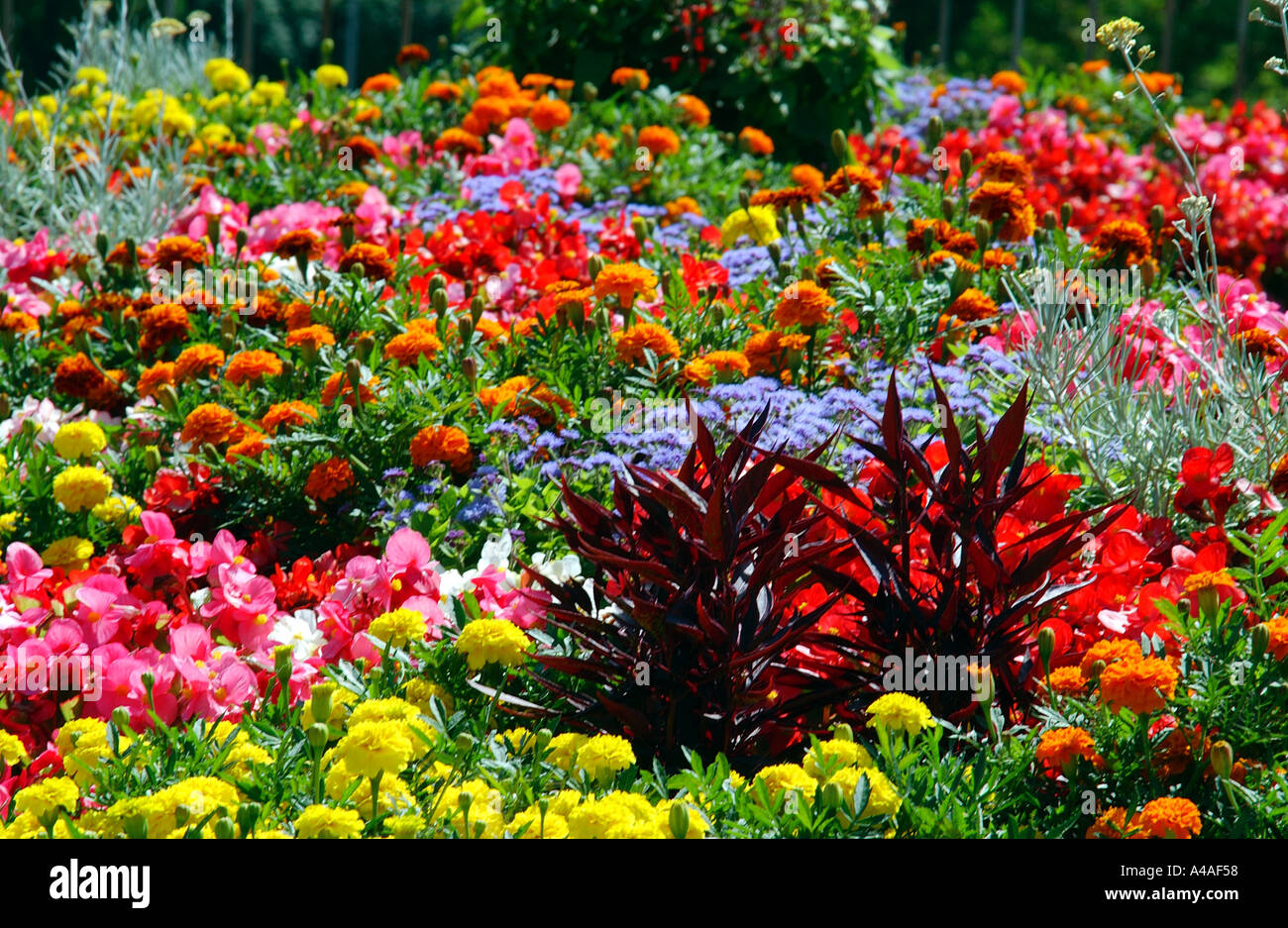 Interlaken Gardens High Resolution Stock Photography and Images - Alamy