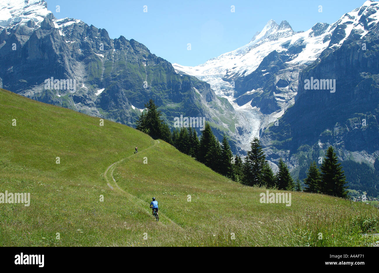 View across meadows mountains hi-res stock photography and images - Alamy