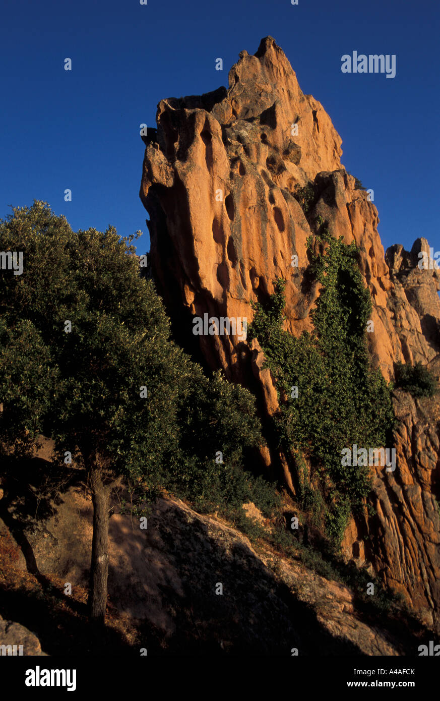 Calanque of Piana Corsica island France Europe Stock Photo - Alamy