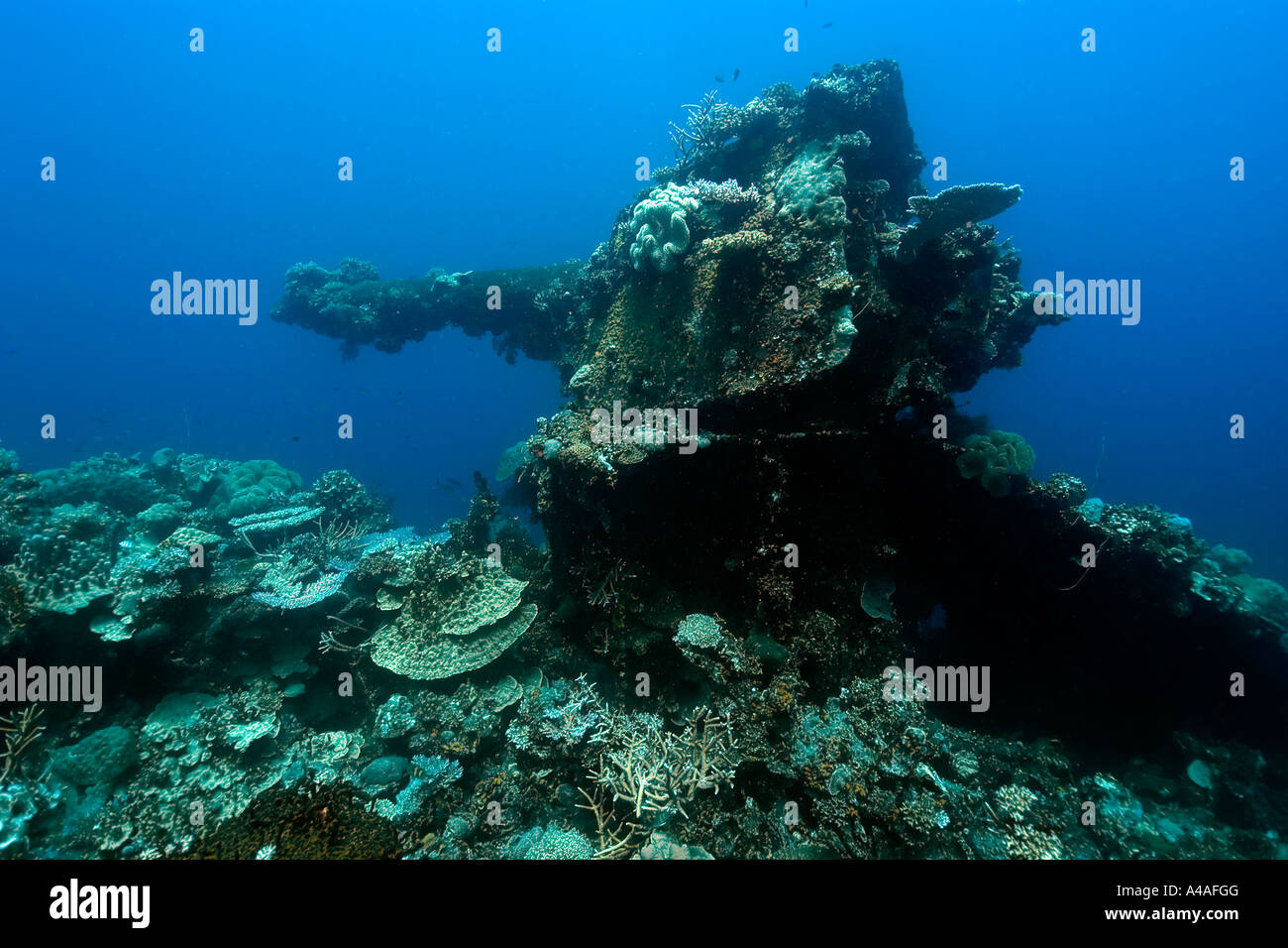 Main deck gun Fujikawa Maru shipwreck Truk lagoon Chuuk Federated ...