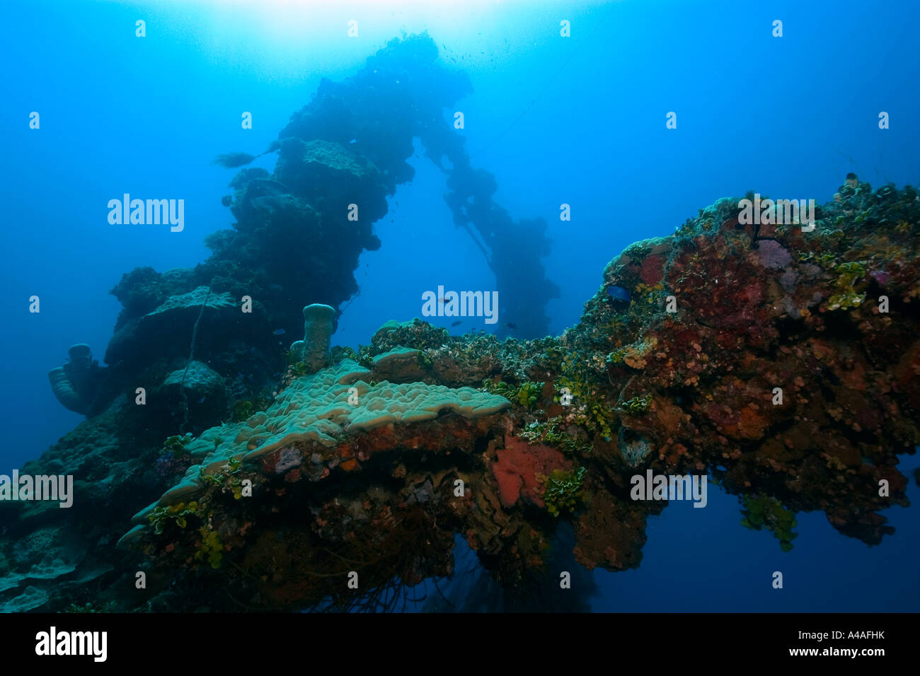 Main frame and external structure of the Fujikawa Maru shipwreck Truk ...