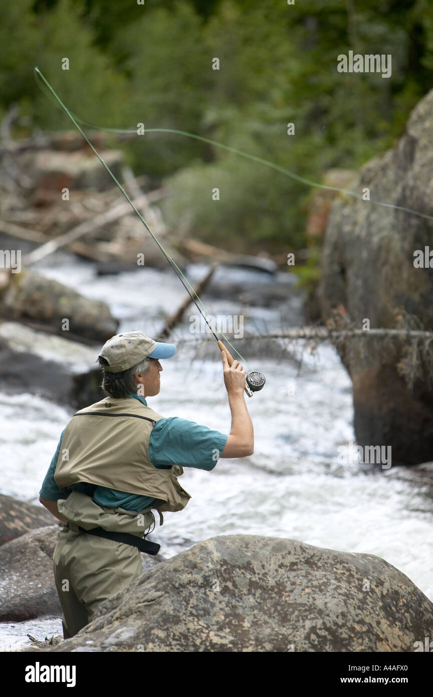 Man casting overhead across stream fly fishing in Colorado Stock Photo ...