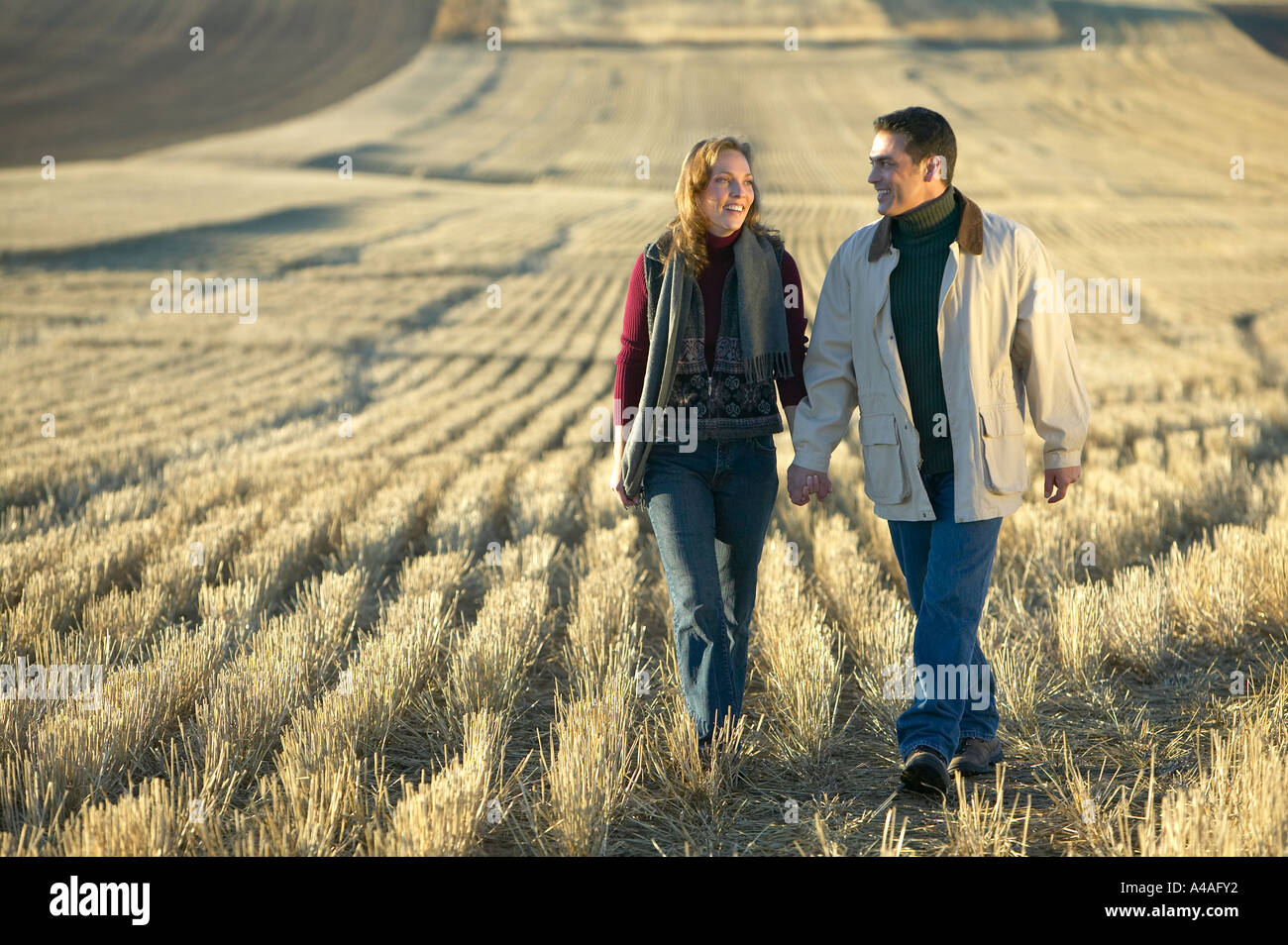 Couple smiling holding hands walking through fields of cut golden grass ...