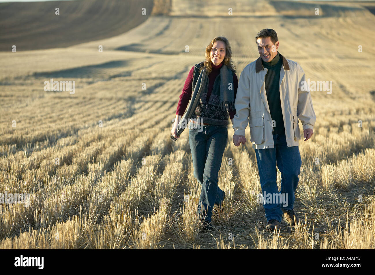 Couple smiling holding hands walking through fields of cut golden grass ...