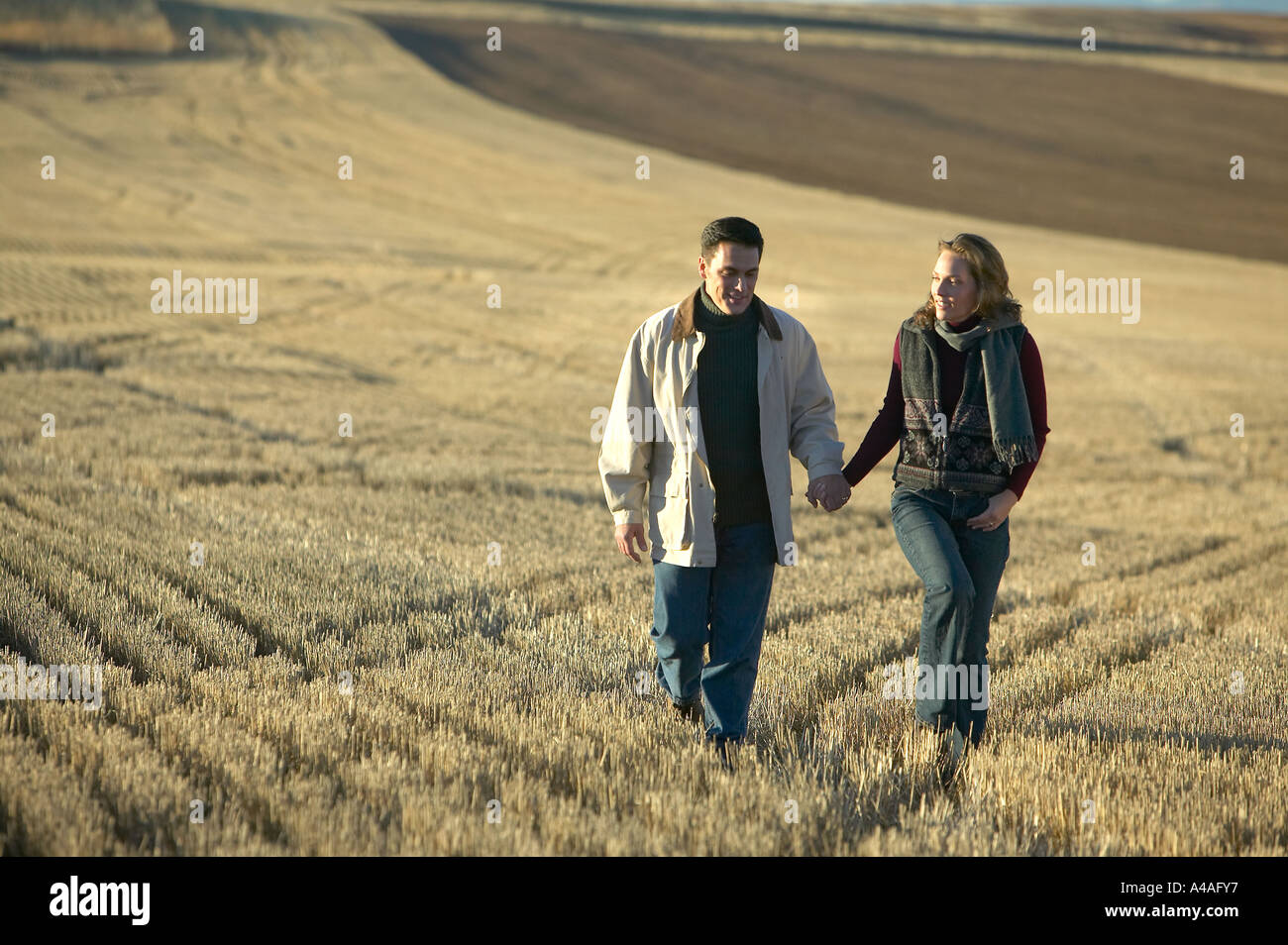 Couple smiling holding hands walking through fields of cut golden grass ...