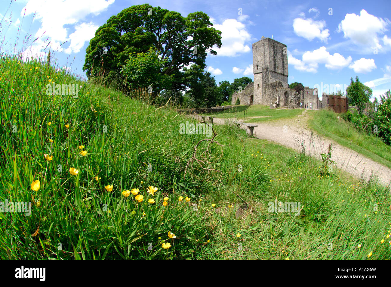 Mugdock Castle seat of the Grahams Mugdock Park Glasgow Scotland Stock ...
