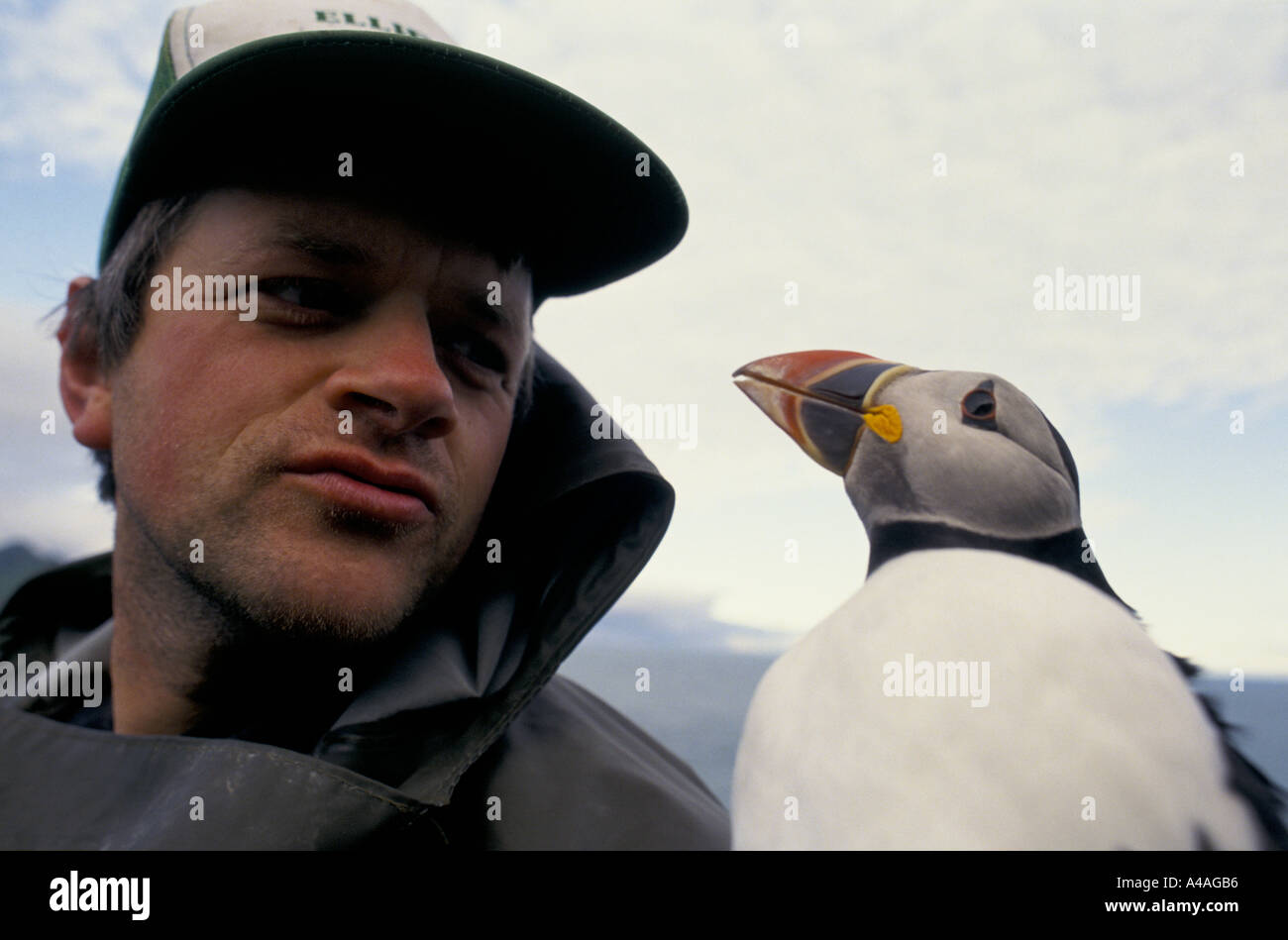 Puffin Hunting: Joi Ragg, puffin hunter and member of a syndicate that ...