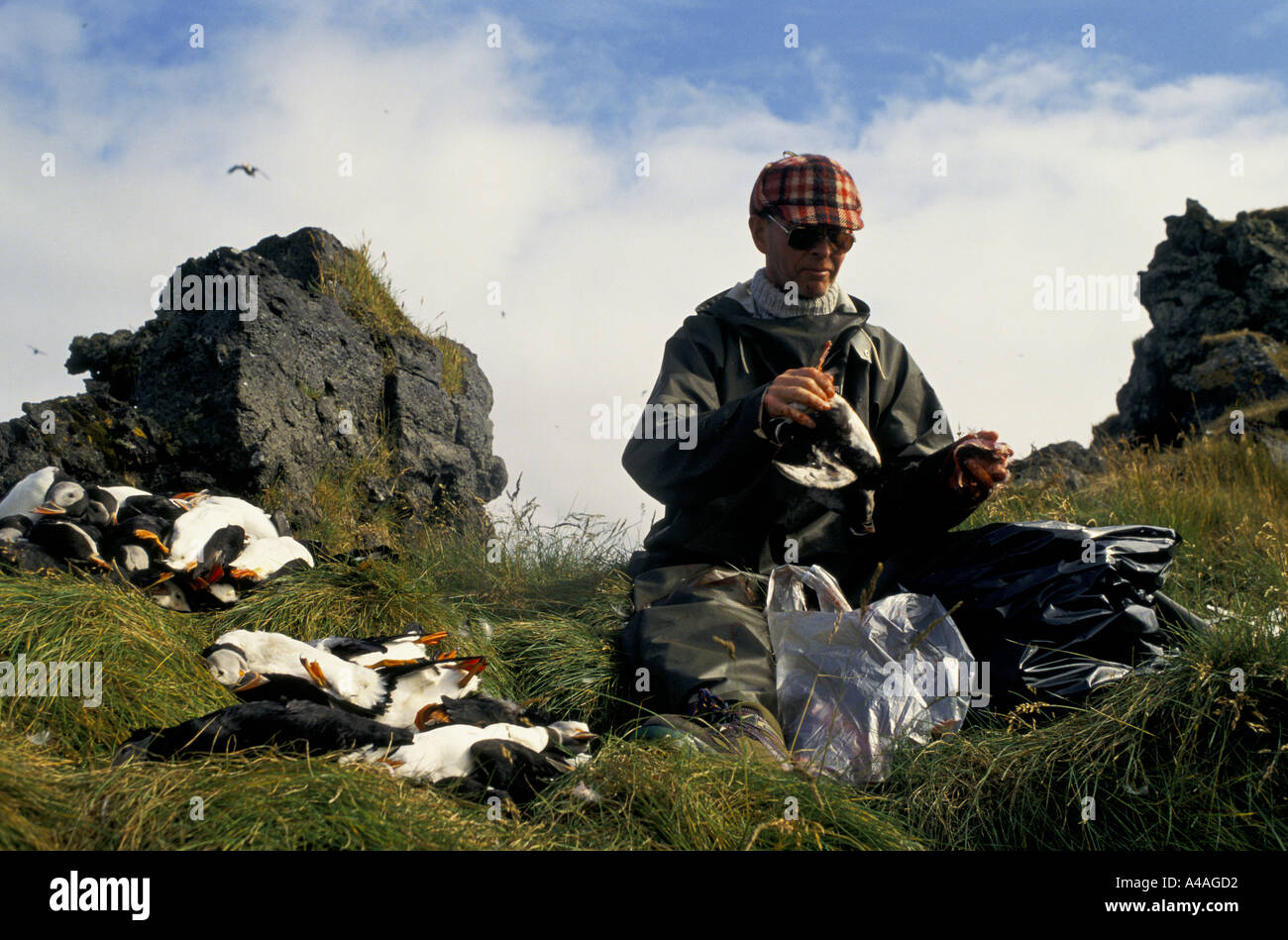 Man hunting bird hi-res stock photography and images - Alamy
