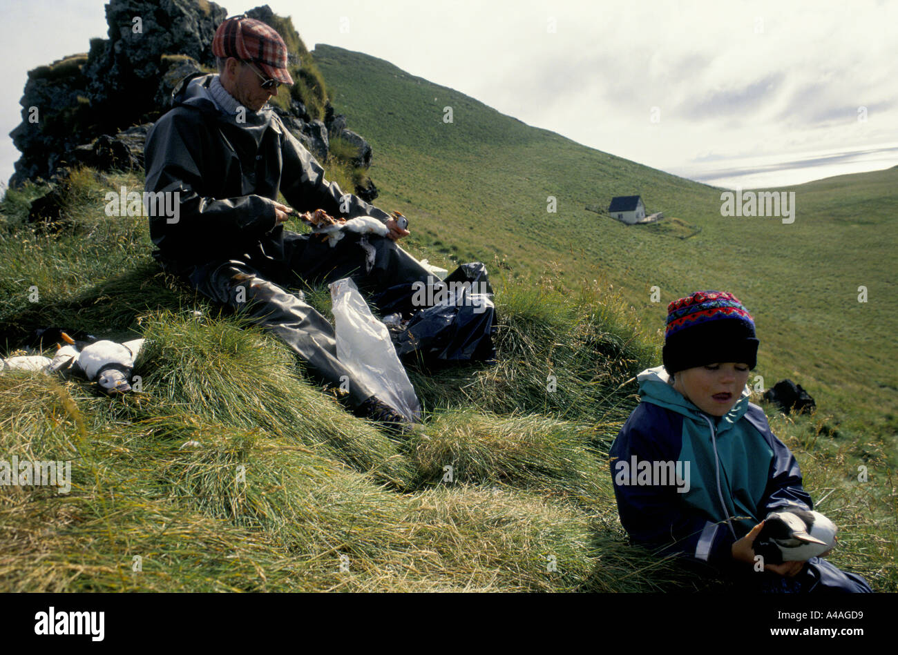 Puffin Hunting: Gudni Hijorleiffson guts some of the puffins he has ...