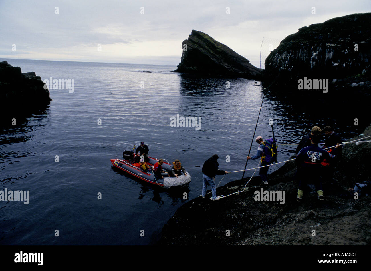 ELLIDAEY, WESTMANN ISLANDS, ICELAND, JULY 1993: Puffin Hunting: The ...