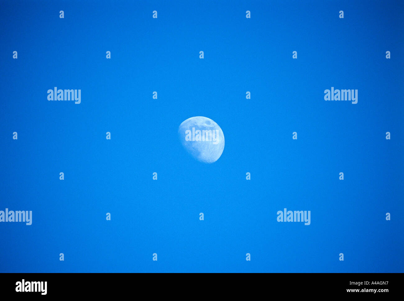 The Moon in daylight Stock Photo - Alamy