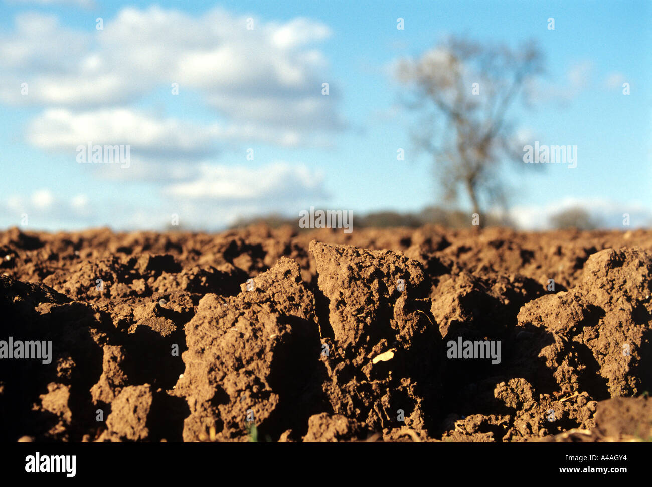 Low View of Ploughed Field Stock Photo - Alamy