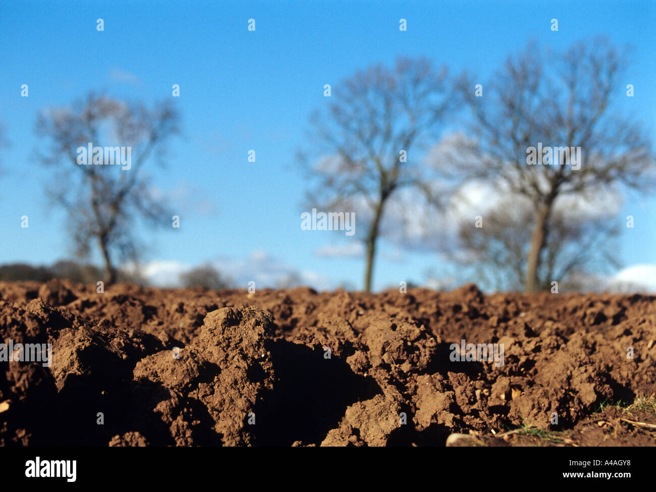 Low angle view soil hi-res stock photography and images - Alamy