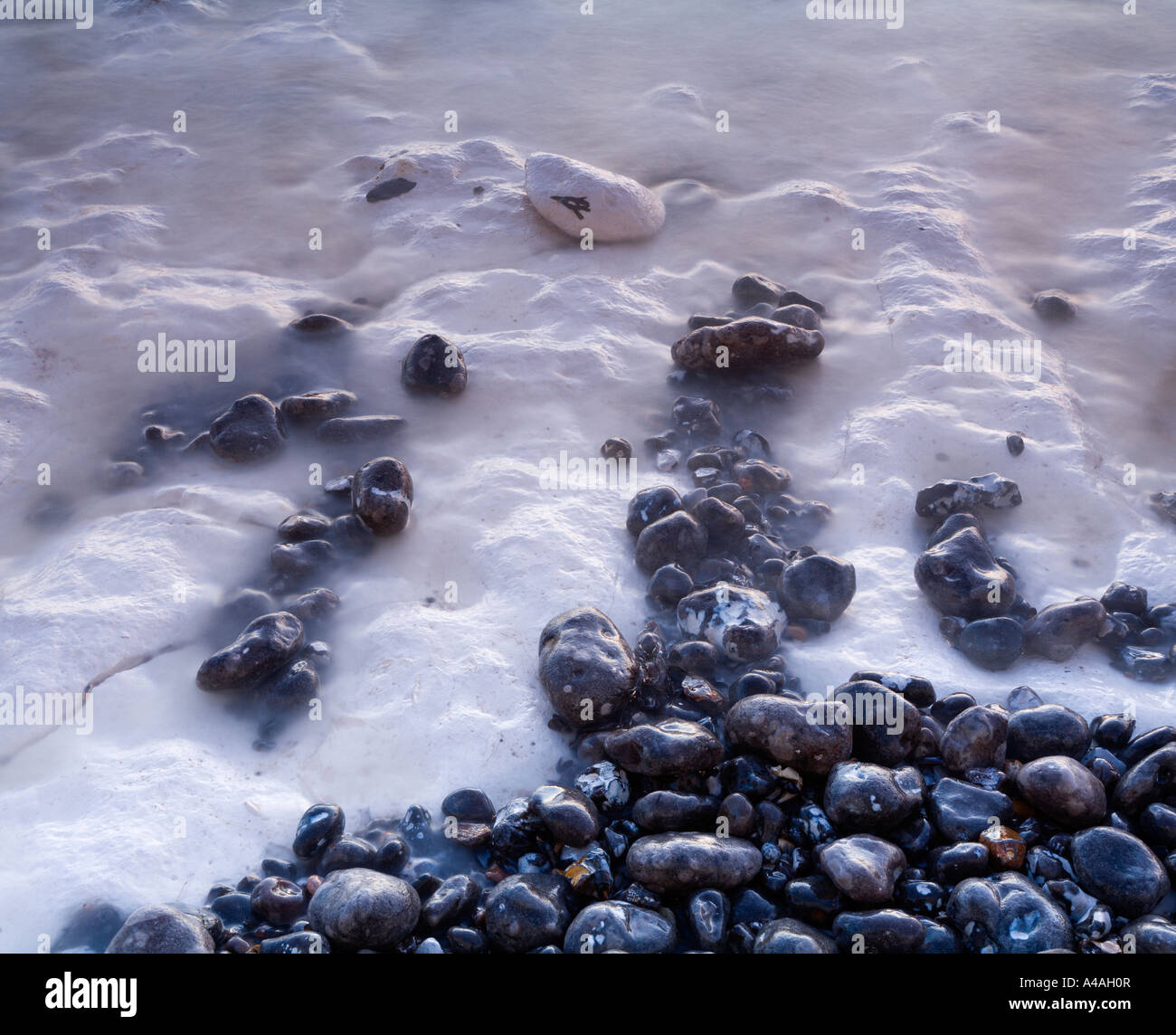 Close up view of pebbles and the chalk ledge exposed by the low tide at ...