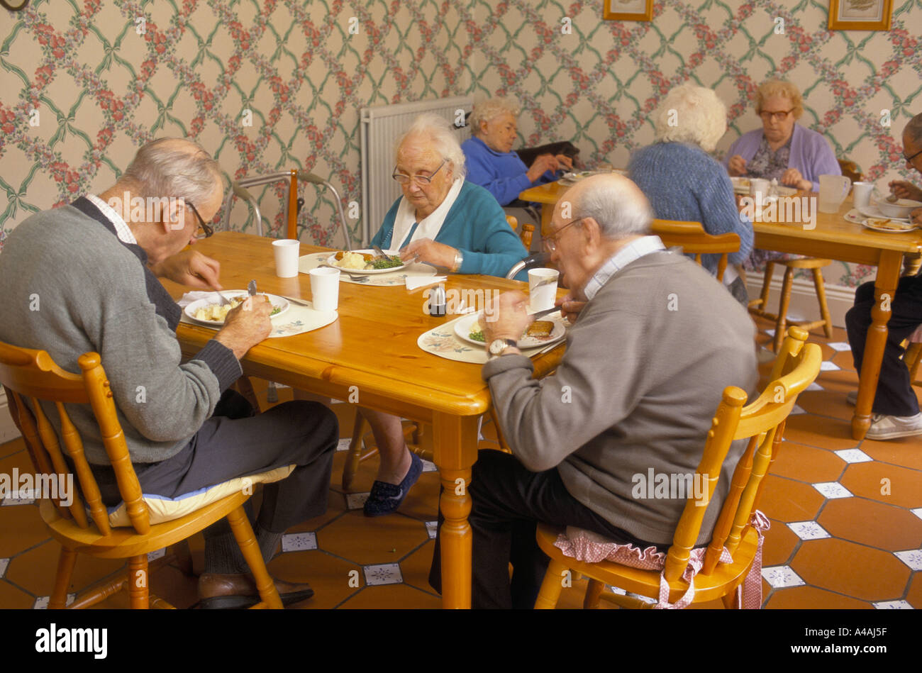 Old People Sitting Around Table Loneliness In Older Adults: 11 Tips