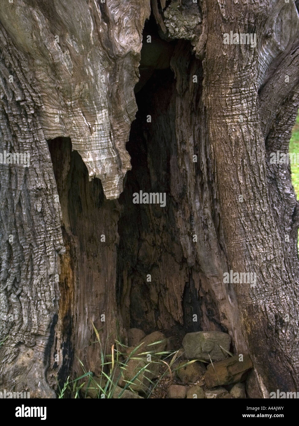 Hidden lair hi-res stock photography and images - Alamy