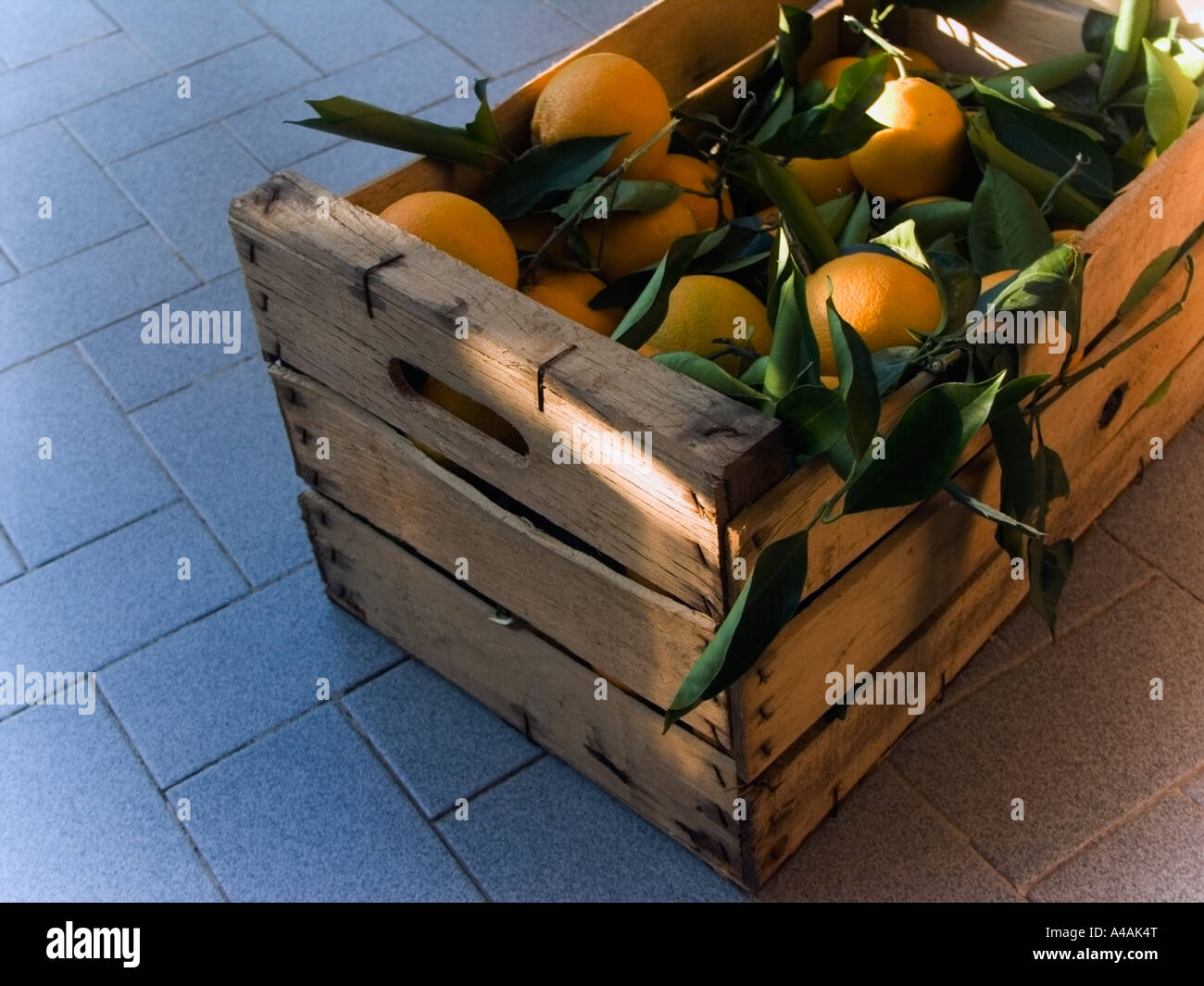 South naples citrus hi-res stock photography and images - Alamy