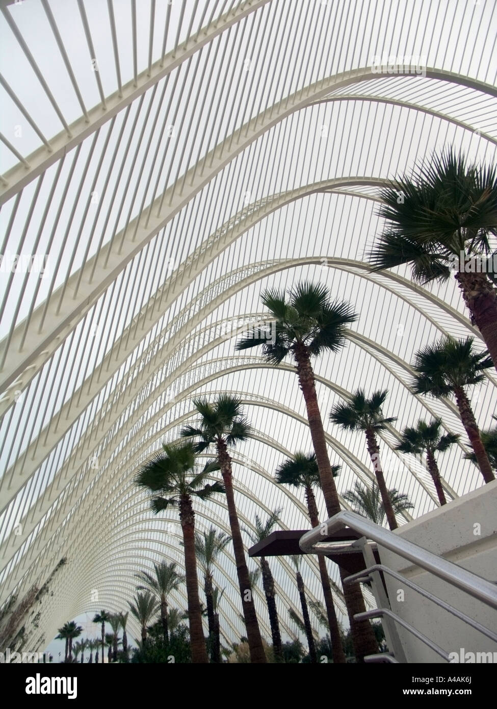 Umbracle umbracle l hi-res stock photography and images - Alamy