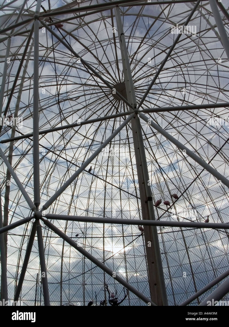 The giant bird cage and entrance building at Oceanografic marine park ...
