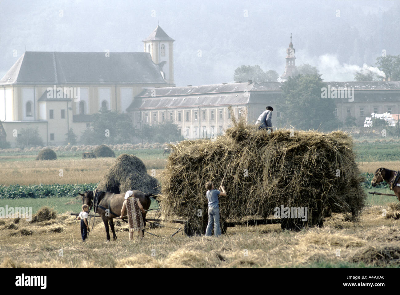 using pitch forks to load hay onto horse drawn cart during the harvest ...