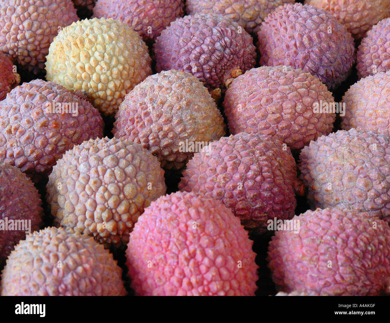 Litchis Leechees Lytchees fruits close up Sapindaceae Stock Photo - Alamy
