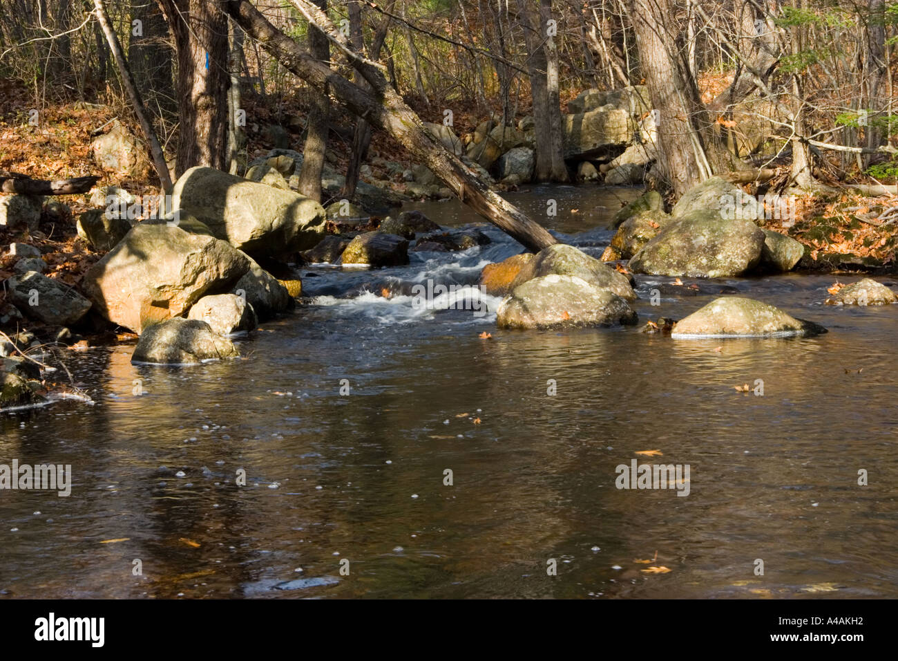 Stream through the woods in New Hampshire during early fall Stock Photo ...