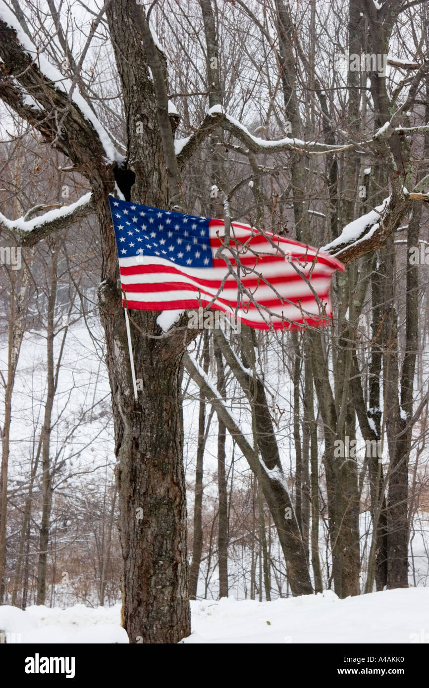 American flag during snow storm hi-res stock photography and images - Alamy