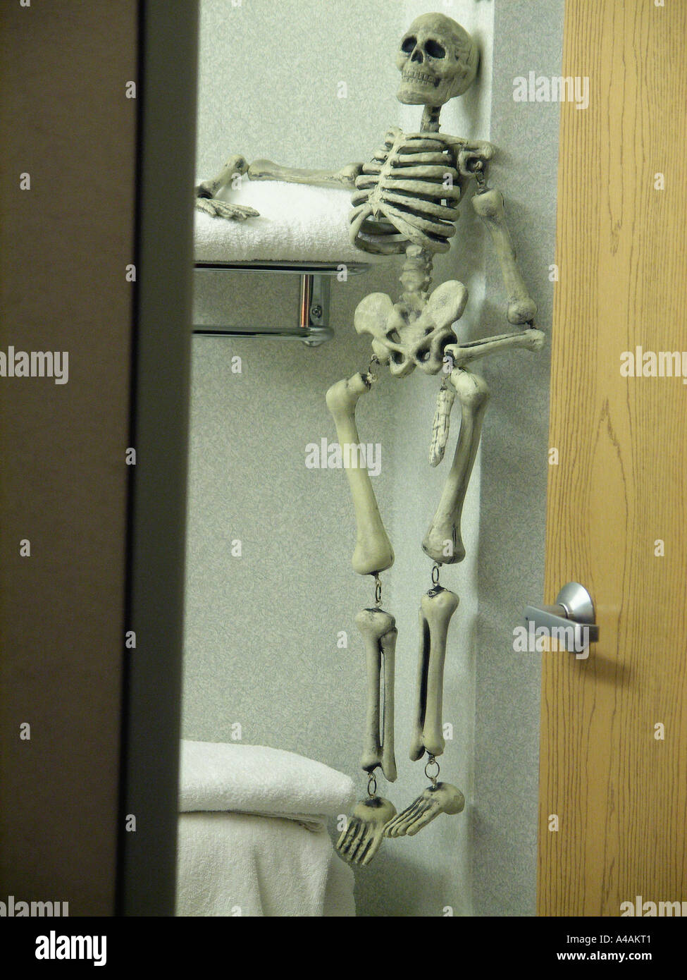Skeleton In Closet Stock Photos & Skeleton In Closet Stock Images - Alamy