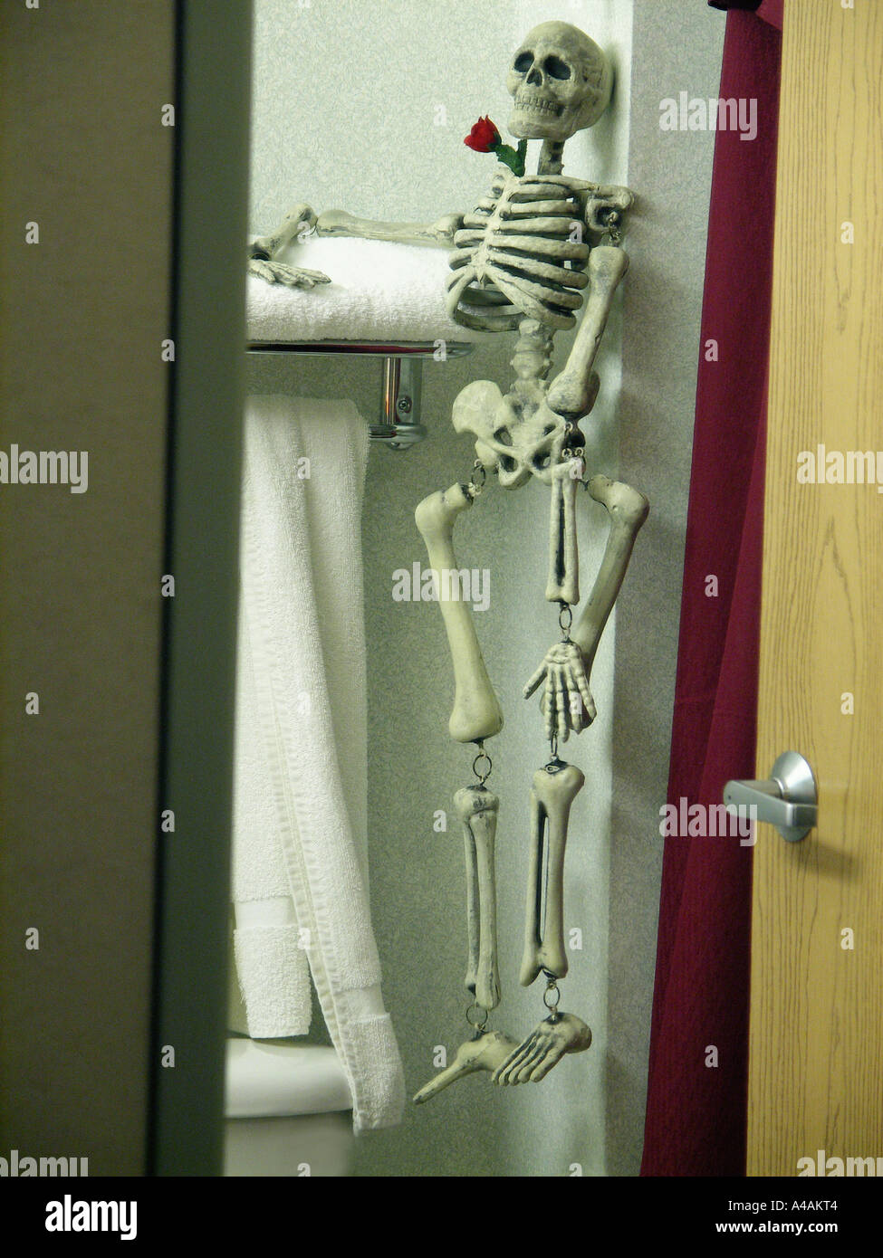 Skeleton Taking a Time Out Stock Photo - Alamy