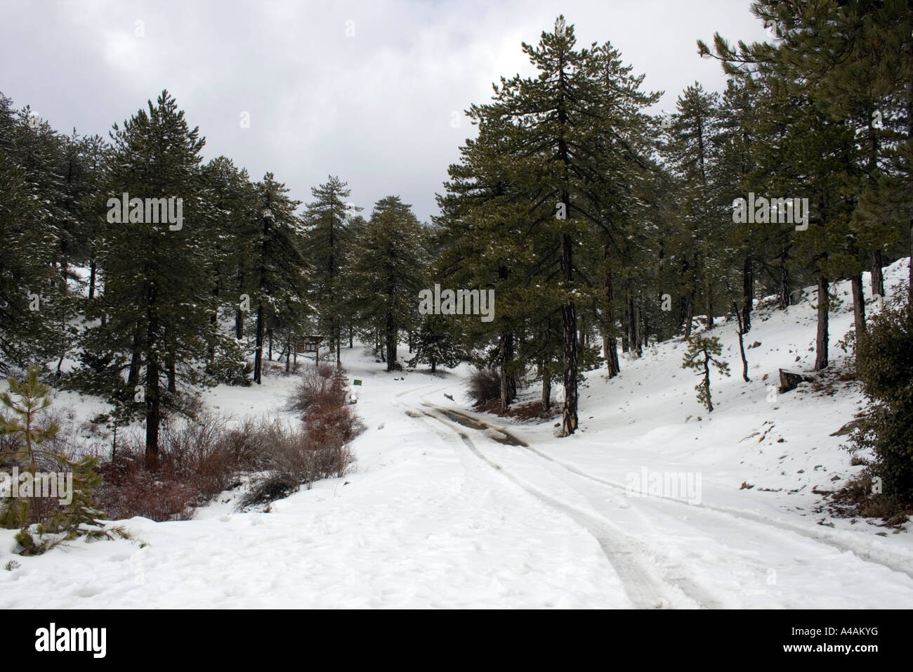 Cyprus troodos snow hi-res stock photography and images - Alamy