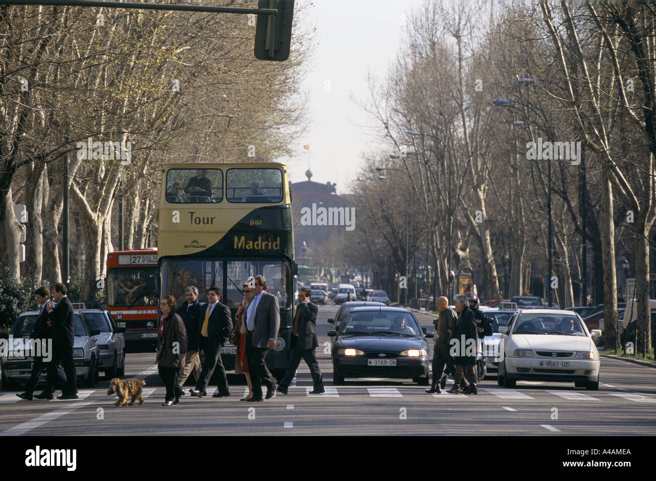 people crossing the road paseo del prado Stock Photo - Alamy