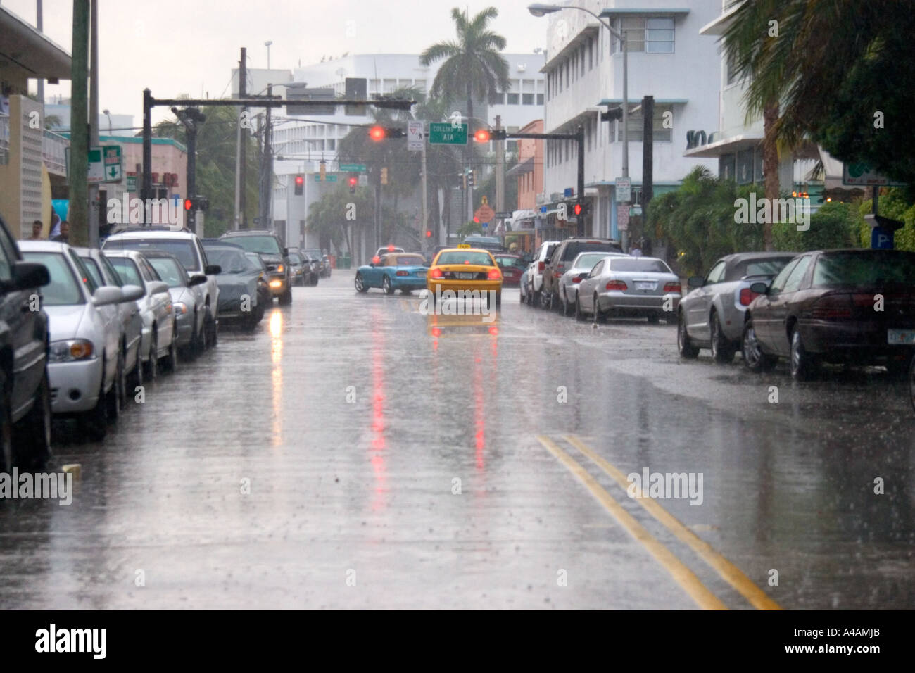 Tropical rainfall coming down on a South Miami beach Street Miami ...