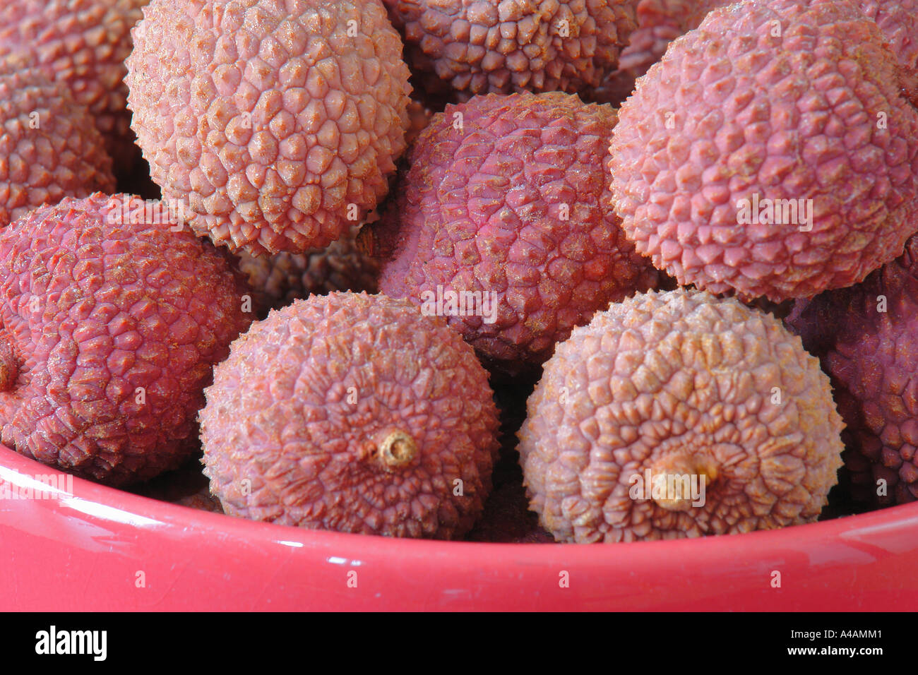 Litchis Leechees Lytchees close up Sapindaceae Stock Photo - Alamy