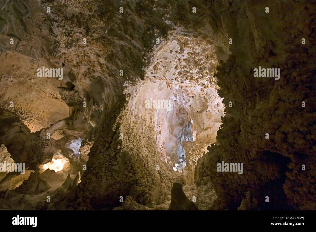 The Big Room the largest cave in the Carlsbad Caverns National Park New ...