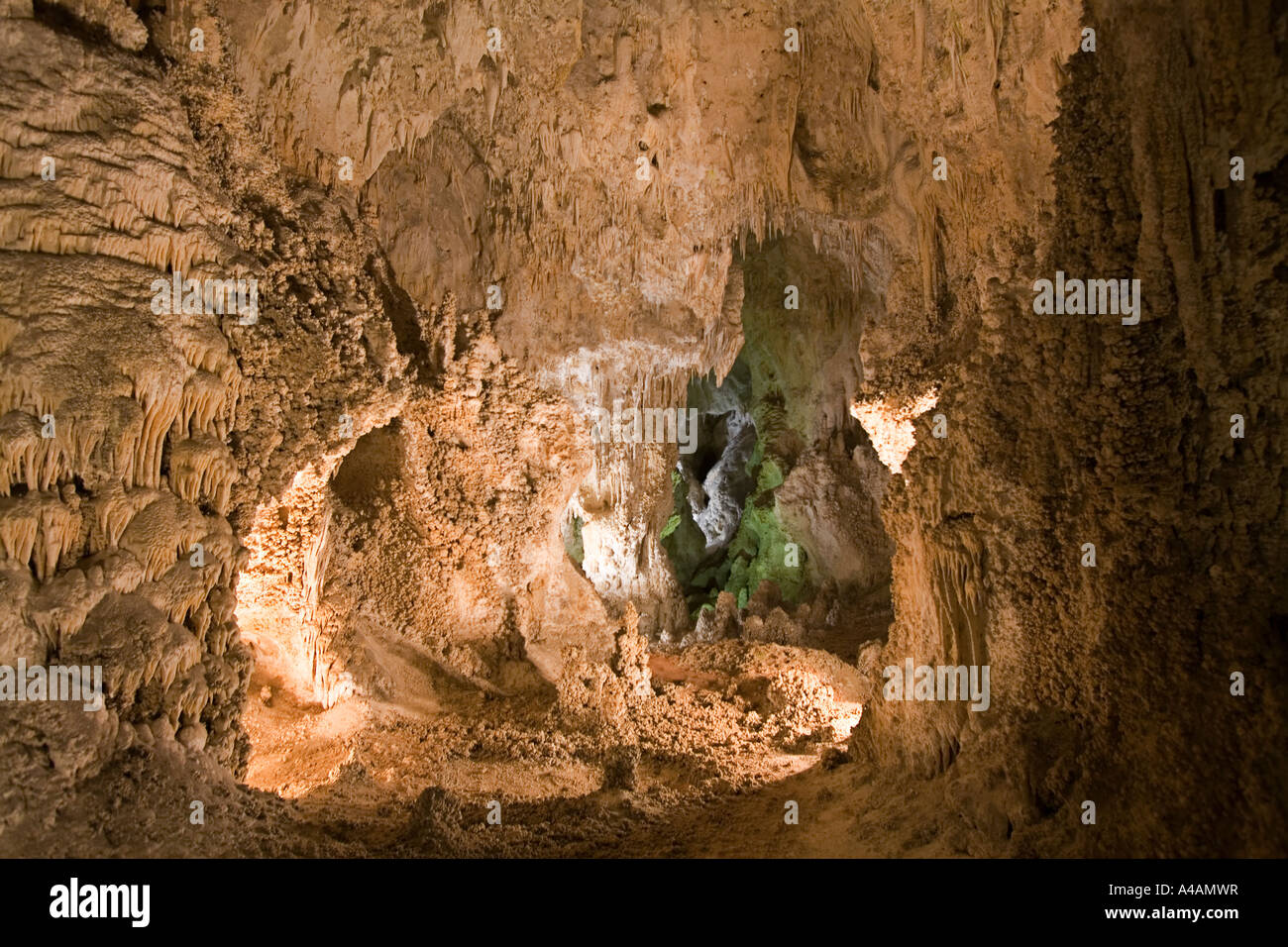 The Big Room the largest cave in the Carlsbad Caverns National Park New ...