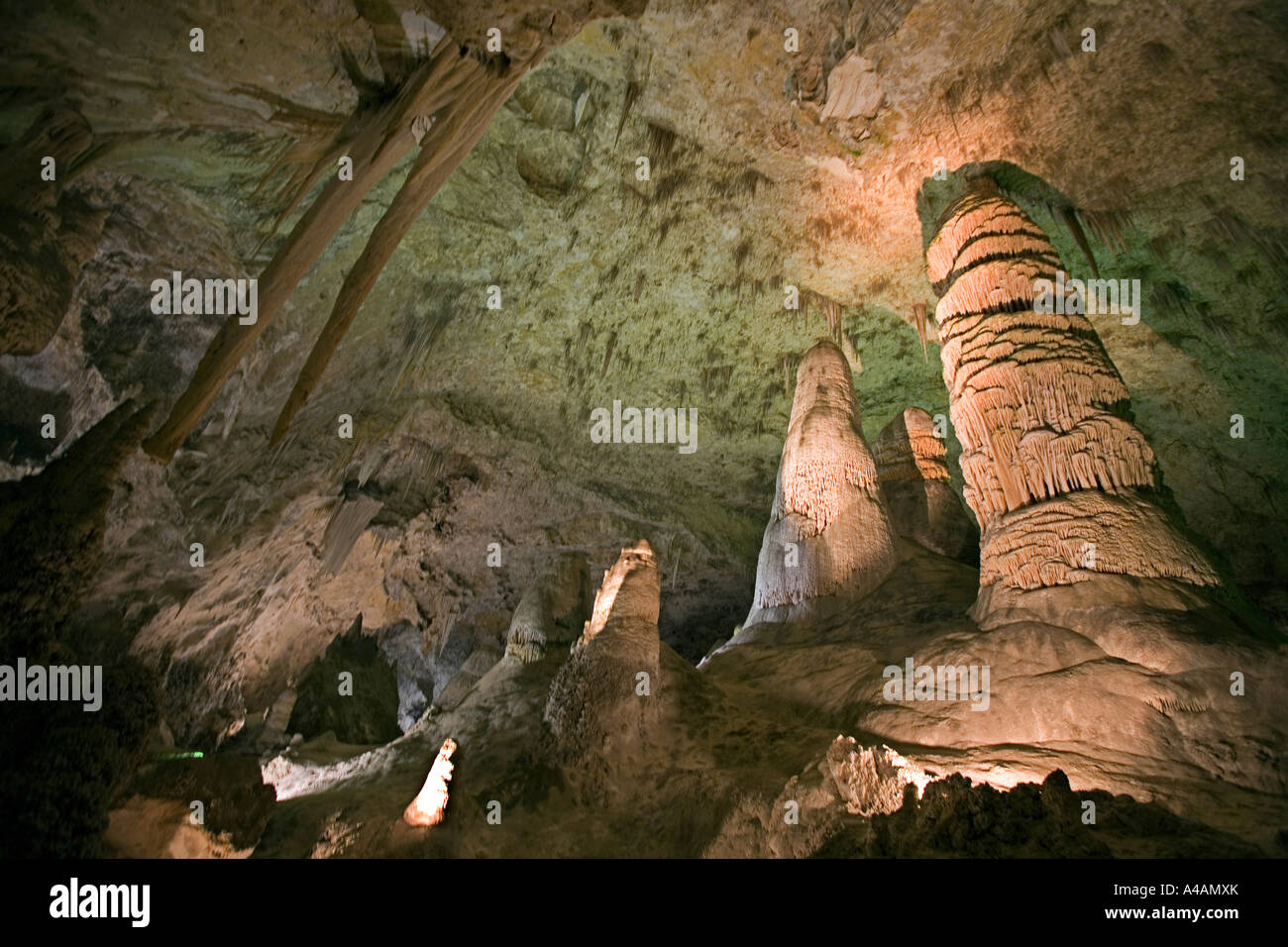 The Big Room the largest cave in the Carlsbad Caverns National Park New ...