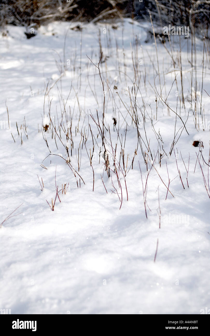 Winter snow in Hinkley Park Medina Ohio Stock Photo - Alamy