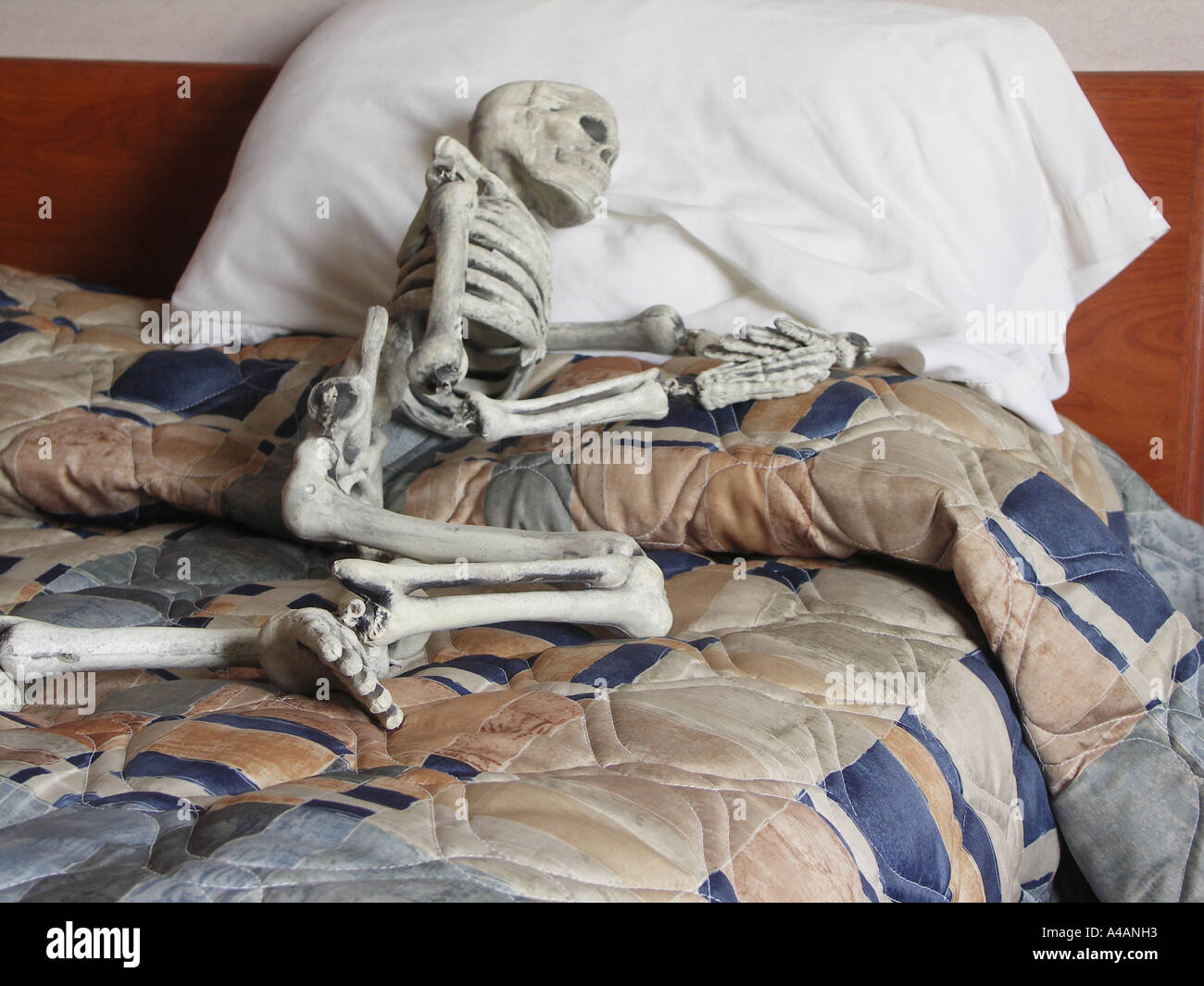 Skeleton Taking a Nap Stock Photo - Alamy