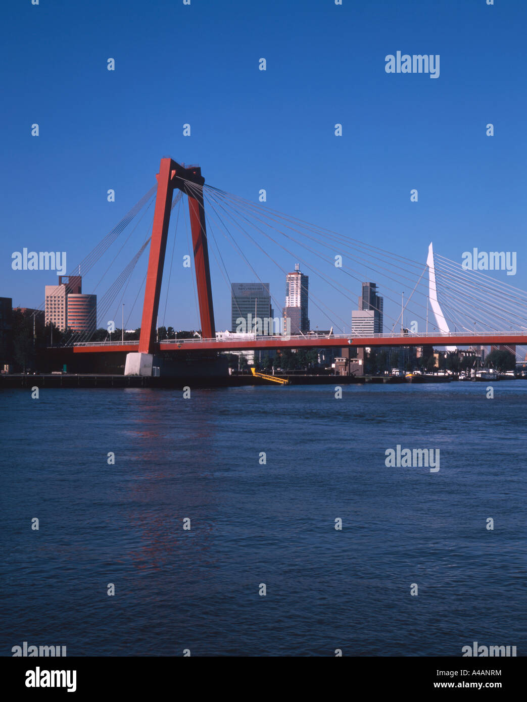 Willemsburg Bridge and Erasmus Bridge Rotterdam Holland Stock Photo - Alamy