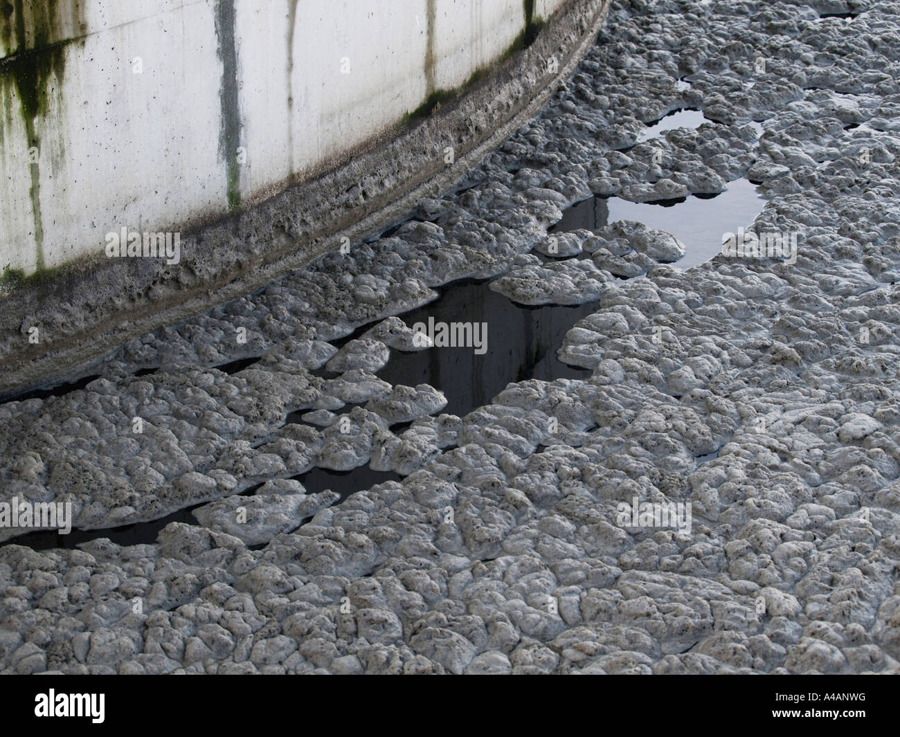 Floating silt ooze mire slime mud in a sewage treatment water ...