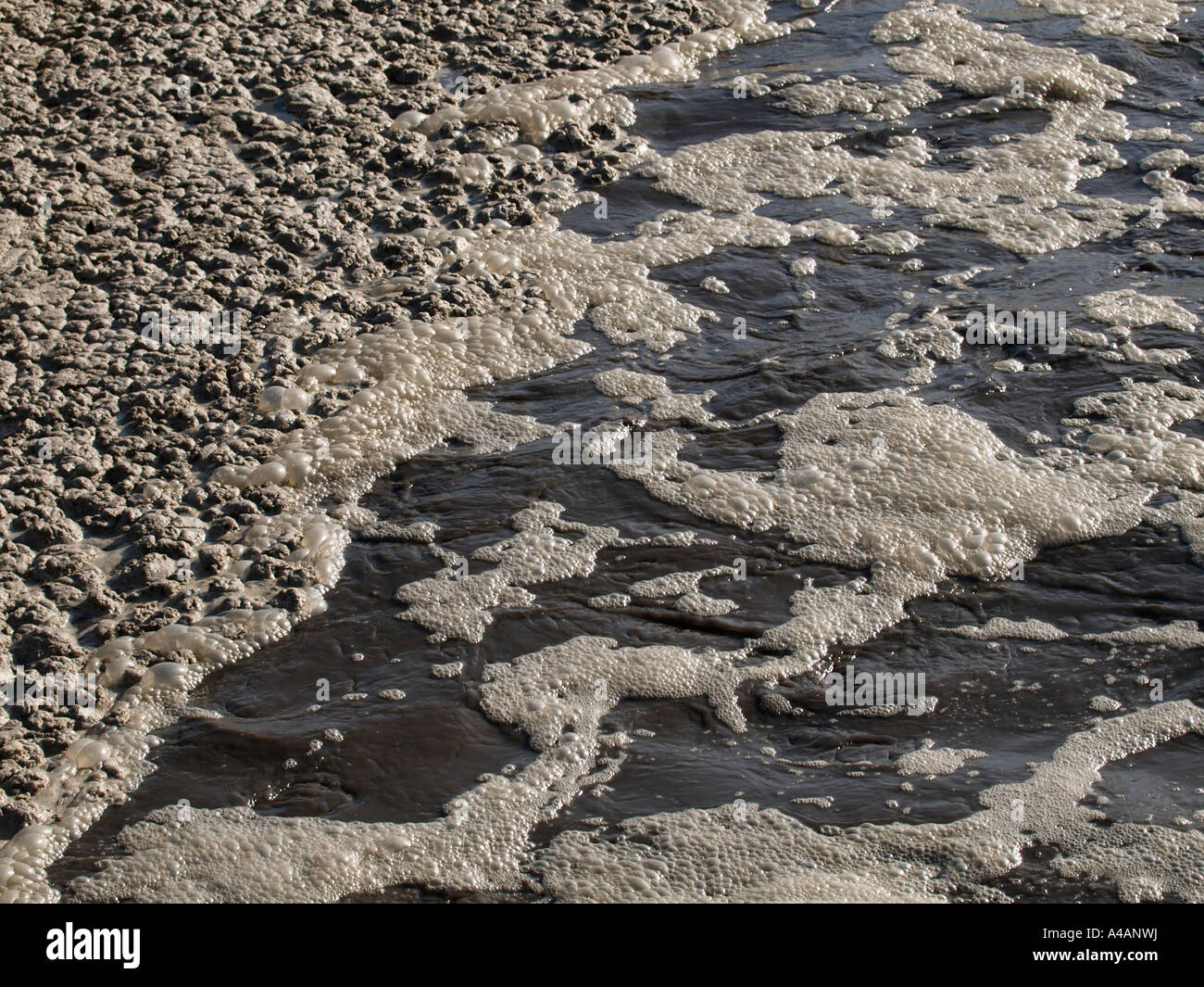 Floating silt ooze mire slime mud in a sewage treatment water ...