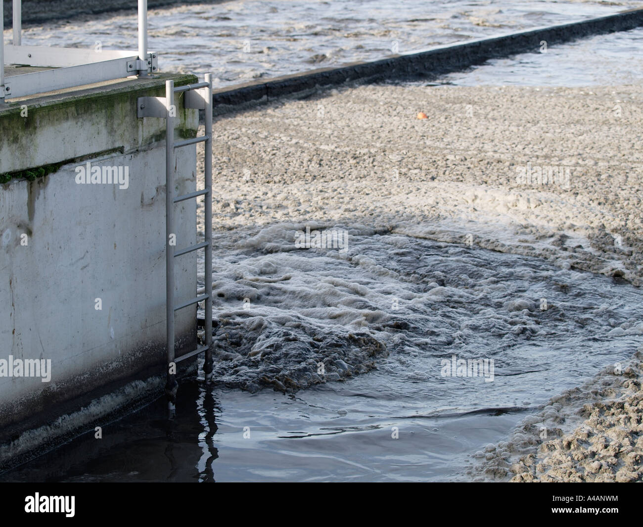 Floating mud on streaming water in a sewage treatment water ...