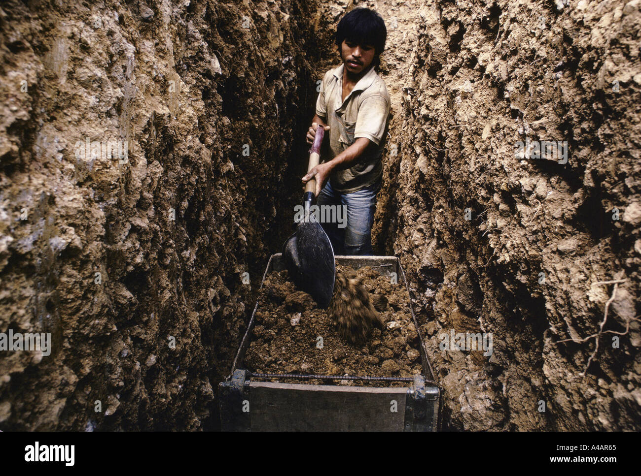 Cordillera Mountains, Philippines, Feb 1991: a pocket miner loads a ...