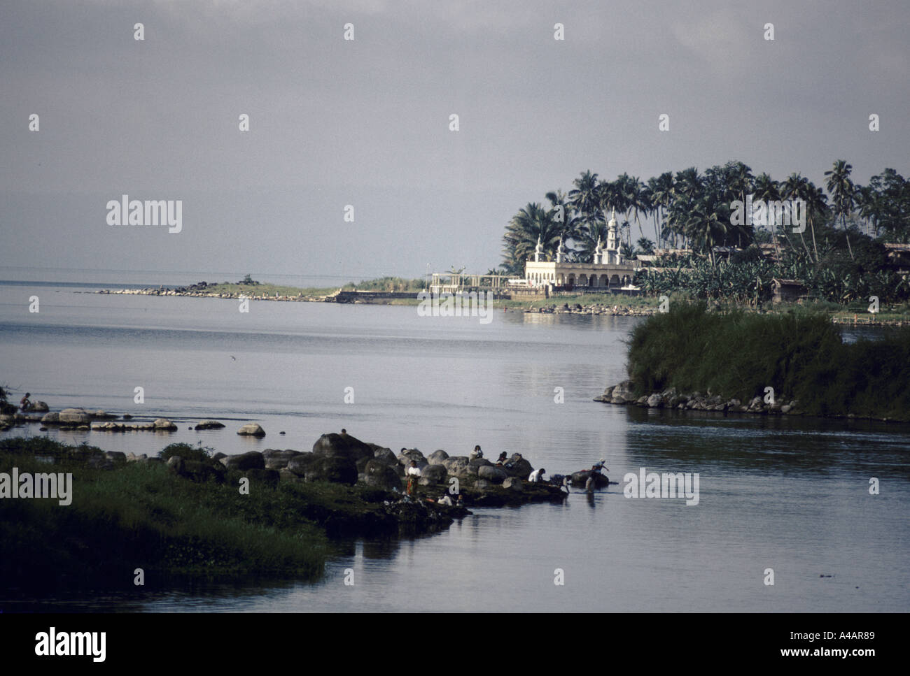 Southeast asia environment hi-res stock photography and images - Alamy