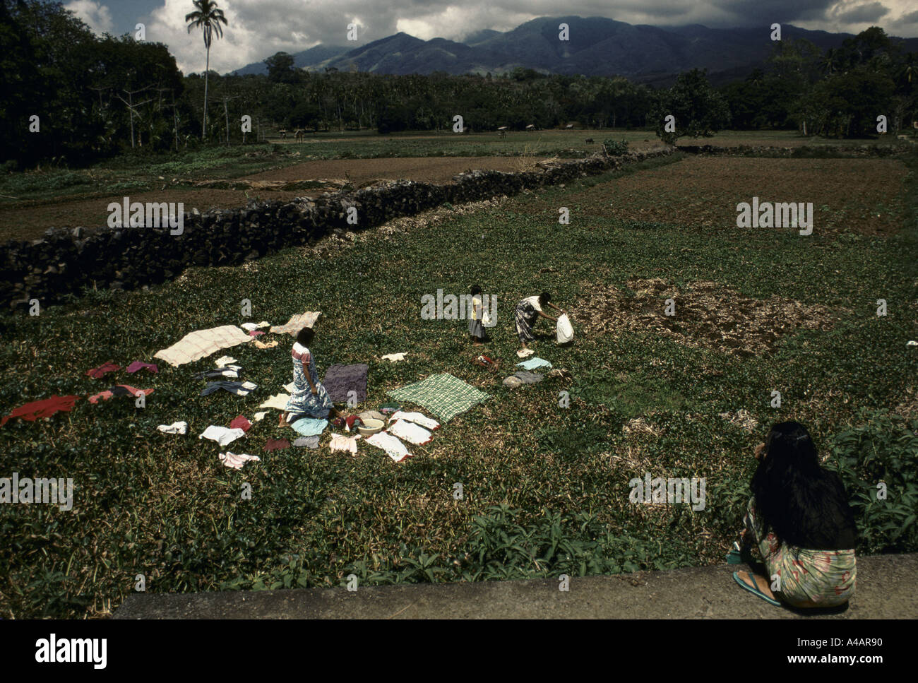 Southeast asia environment hi-res stock photography and images - Alamy