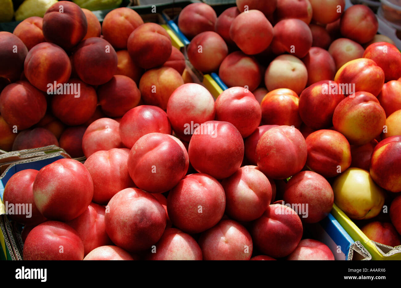 Golden Peaches white peaches white nectarines and golden nectarines for ...